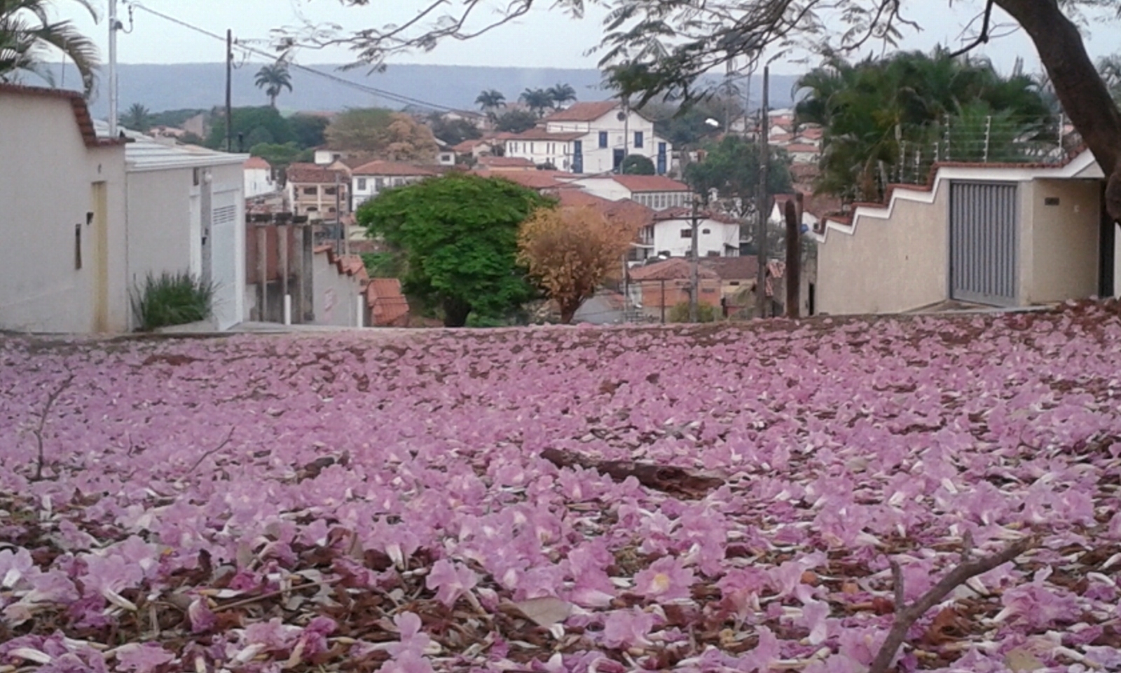 Paracatu, uma cidade encantadora - Portal O Lábaro